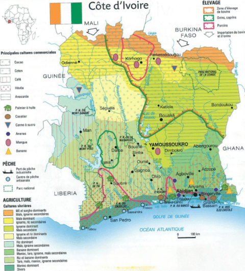 Les Secteurs D activit s conomiques De La C te D Ivoire
